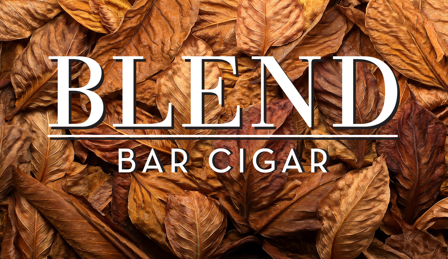 BLEND Bar with Davidoff Cigars